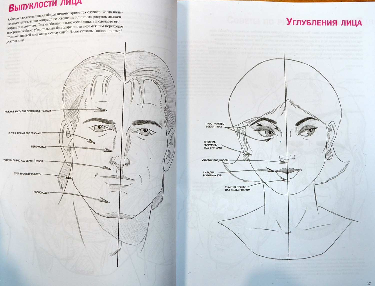 Анатомия для художника. Совсем просто — Кристофер Харт купить книгу в ...