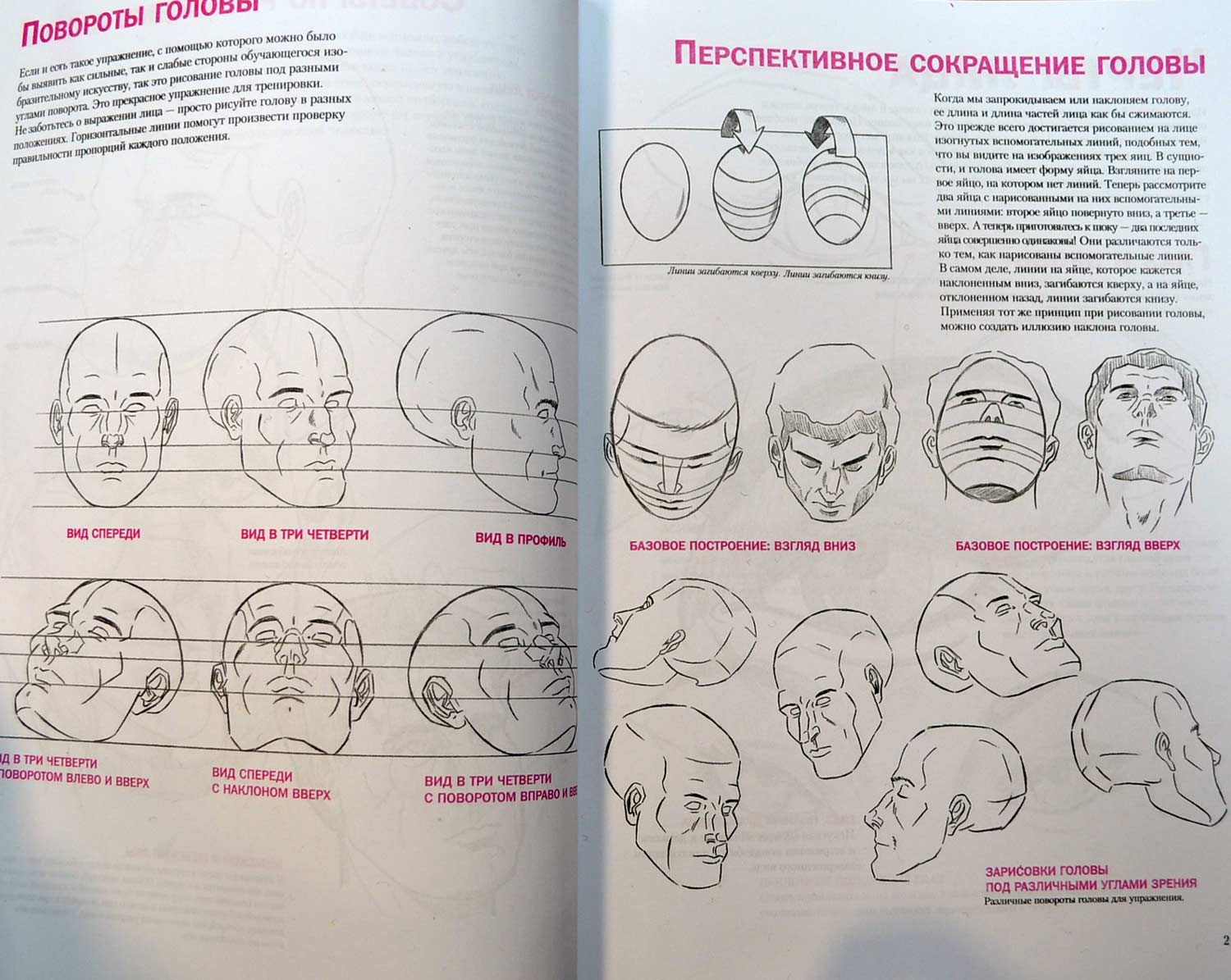Анатомия для художника. Совсем просто — Кристофер Харт купить книгу в ...