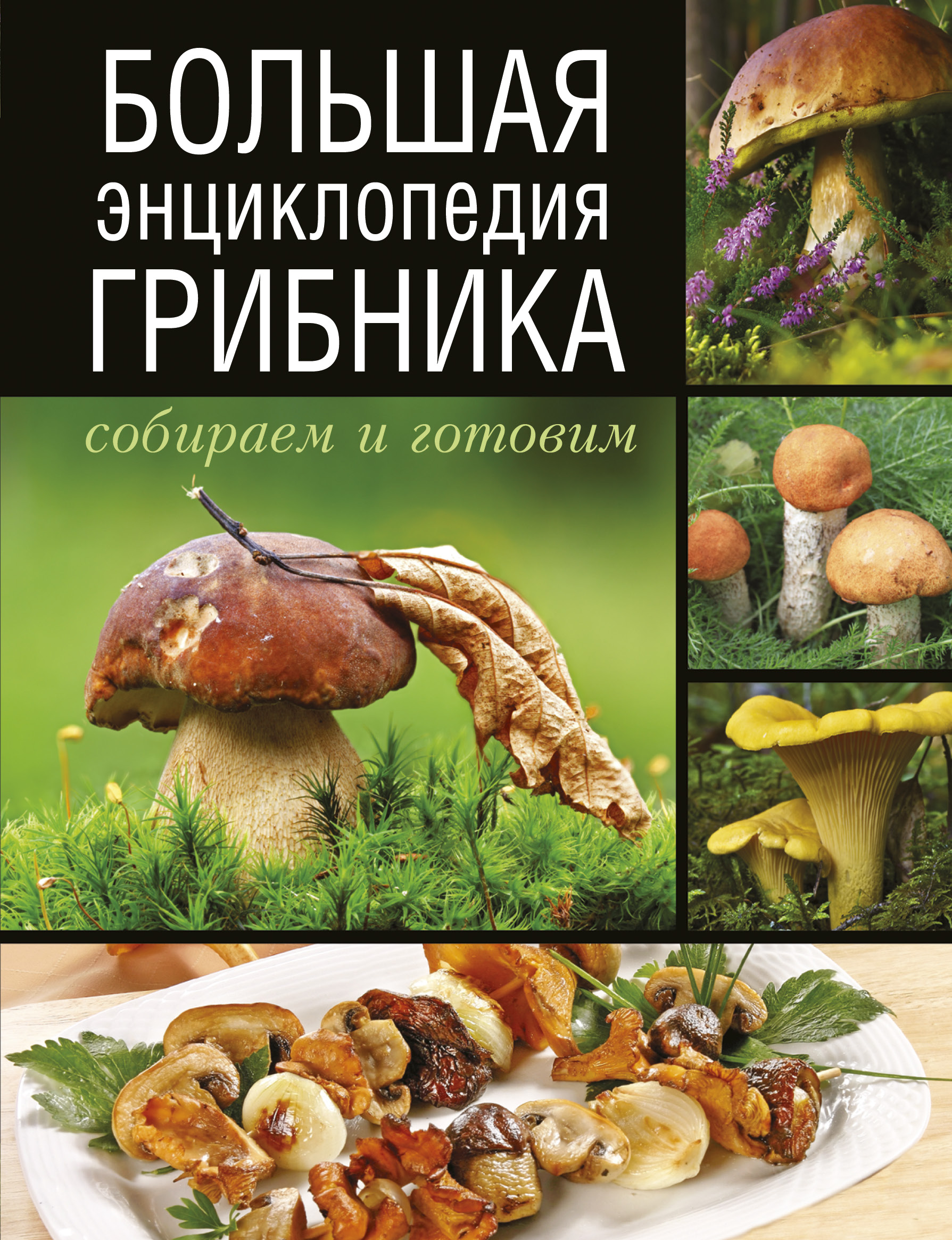 Большая энциклопедия грибника. Собираем и готовим — А. Поленов купить ...