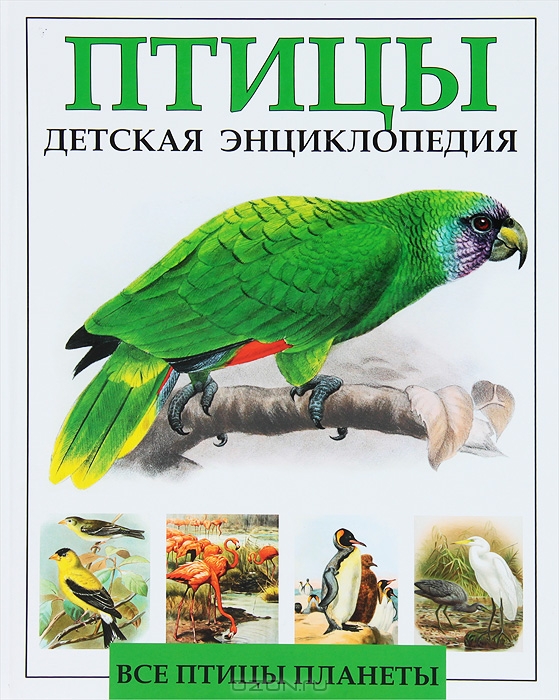 Птицы. Детская энциклопедия купить книгу в Киеве (Украина) — Книгоград