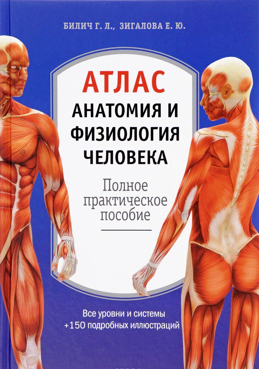 Анатомия и физиология человека Атлас [Габриэль Билич, Елена Зигалова ...