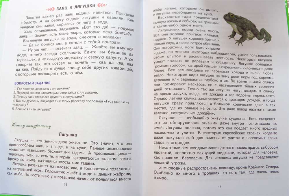Первая после букваря книга для чтения — Н. С. Жукова купить книгу в ...
