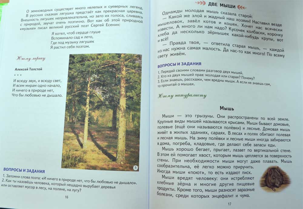 Первая после букваря книга для чтения — Н. С. Жукова купить книгу в ...