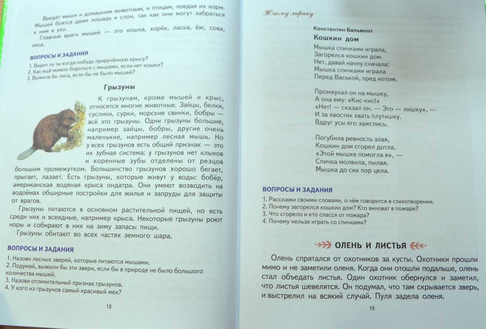 Первая после букваря книга для чтения — Н. С. Жукова купить книгу в ...