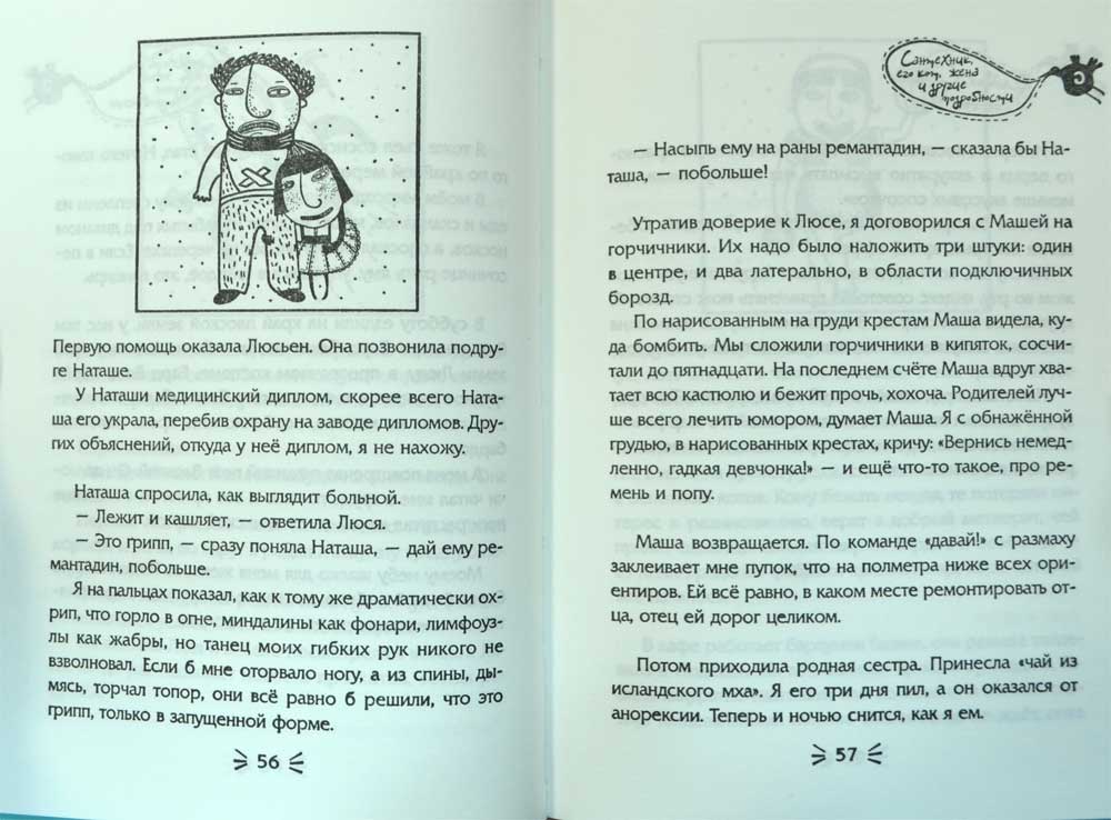 Сантехник, его кот, жена и другие подробности — Слава Сэ | Купить книгу ...